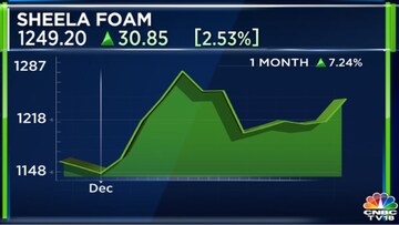 Sheela Foam in process for creating strategy for FY25 and beyond for ...