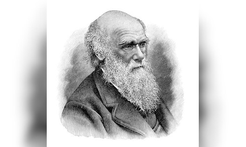 Darwin Day | Recalling the 'finest discovery' in the chapters of ...