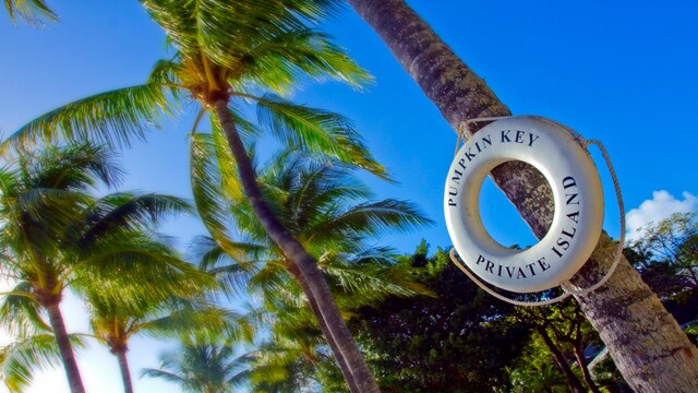 Pumpkin Key, a secluded private island off the Florida Keys, on sale ...