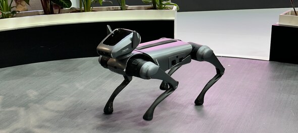 MWC 2024: Meet Dynamic — TECNO’s robotic dog inspired by the German ...