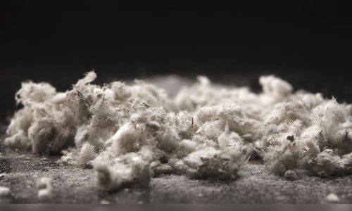 US bans the last kind of asbestos, a deadly carcinogen still in use ...